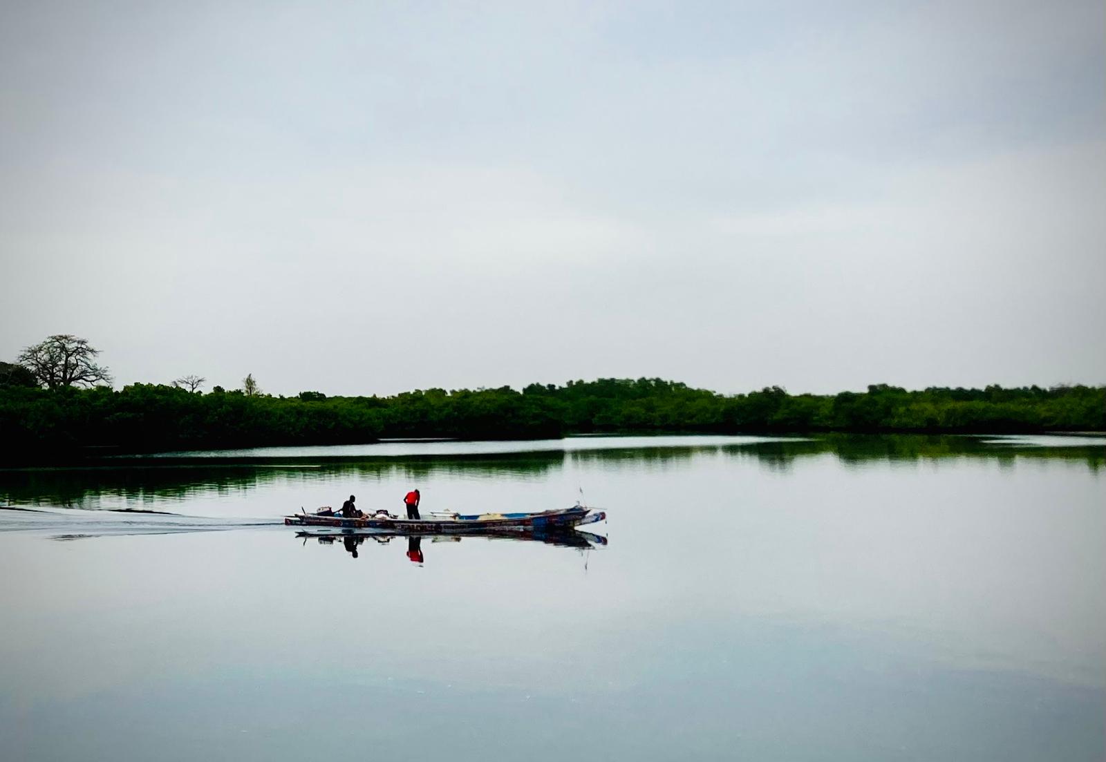 Plankt'eco - Plankton Planet